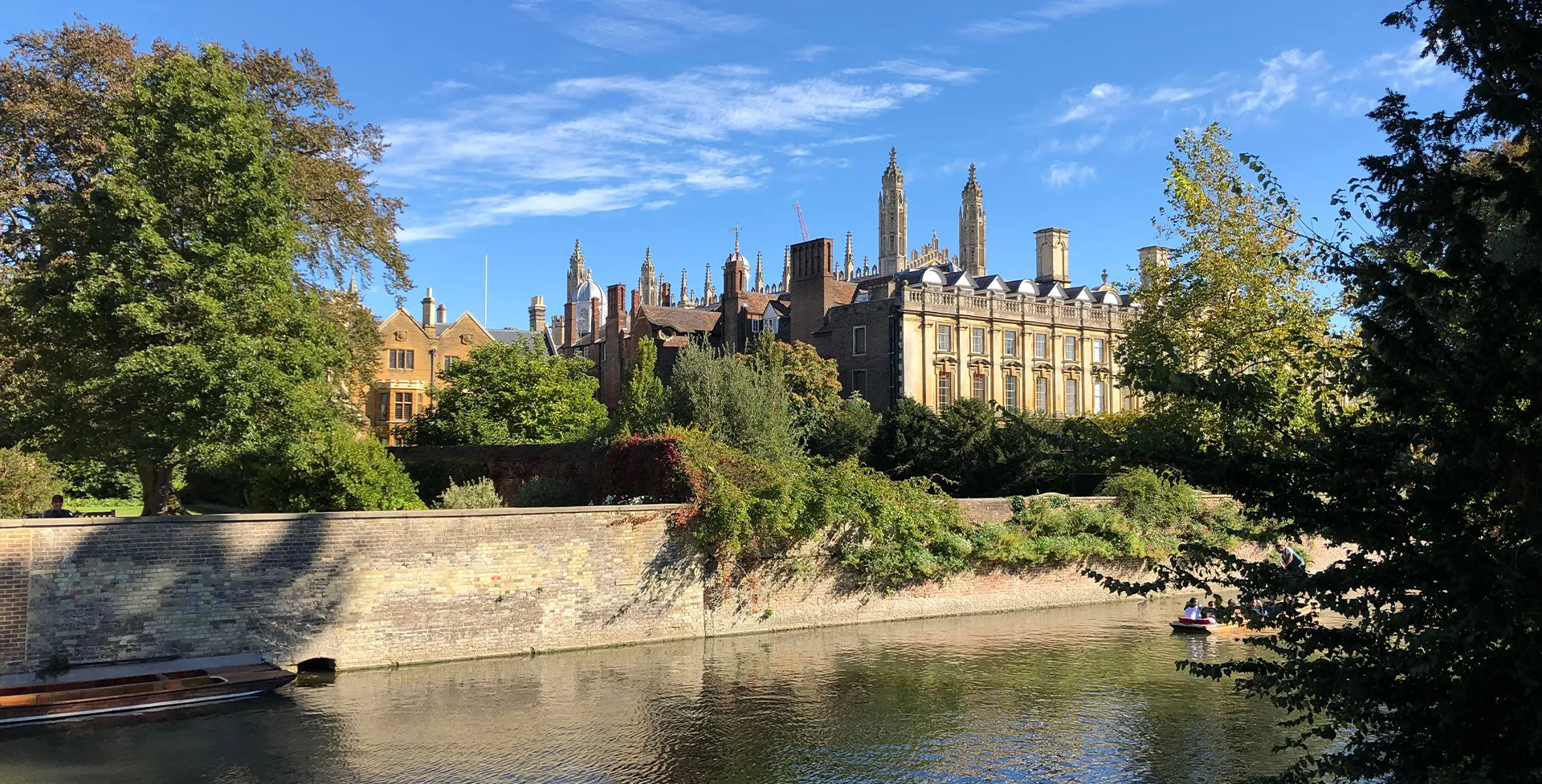 Eaton Socon's Top Japanese Knotweed Removal Experts - Efficient ...